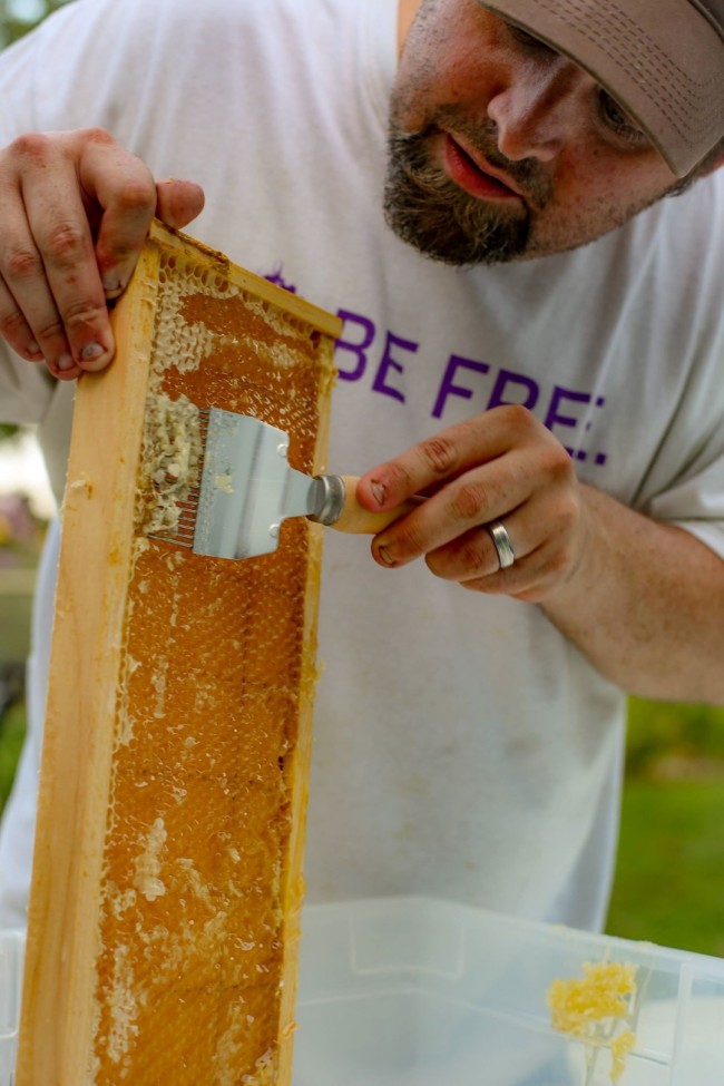 Raw Unfiltered Michigan Fall Honey | Garden Hoard – Certified Organic ...