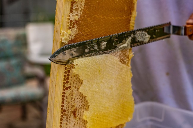 Raw Unfiltered Michigan Fall Honey | Garden Hoard – Certified Organic ...