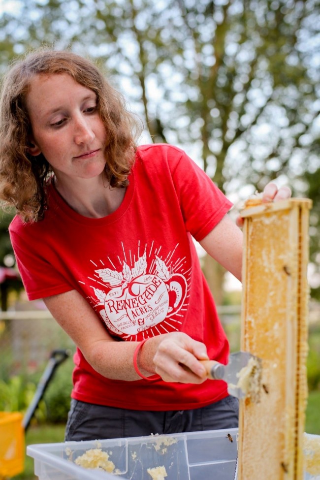 Raw Unfiltered Michigan Fall Honey | Garden Hoard – Certified Organic ...