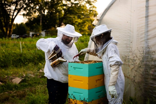 Raw Unfiltered Michigan Fall Honey | Garden Hoard – Certified Organic ...