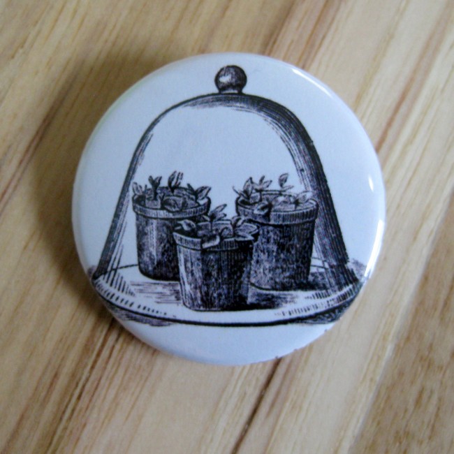 Cloche / Terrarium Pinback Button | Garden Hoard – Certified Organic ...